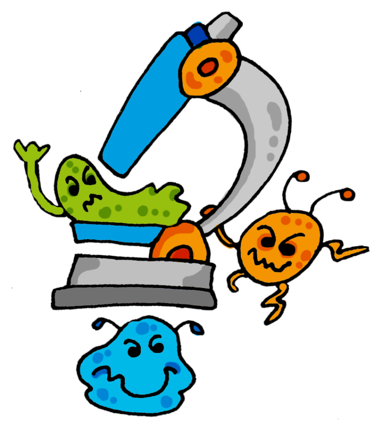 Respuesta inmune innata. - Cursos Aprende con Reyhan